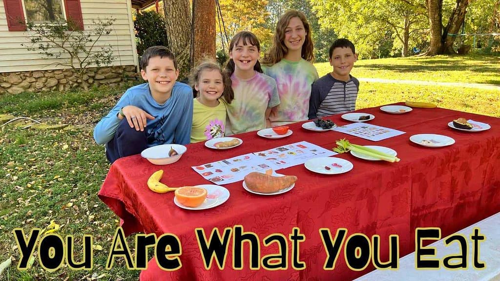 Foods That Look Like Body Parts They Support - Single Mom On A Farm