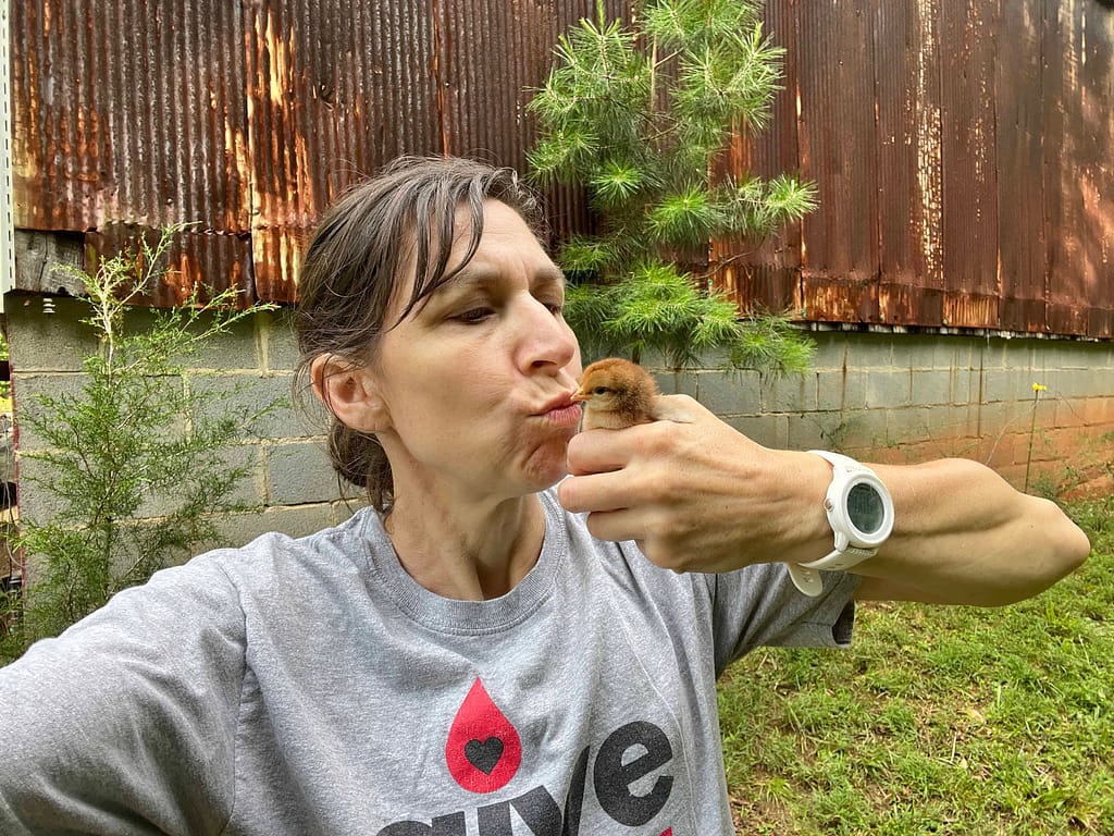 Week Ending 8-4-24 I Do Chick Duty - Single Mom On A Farm